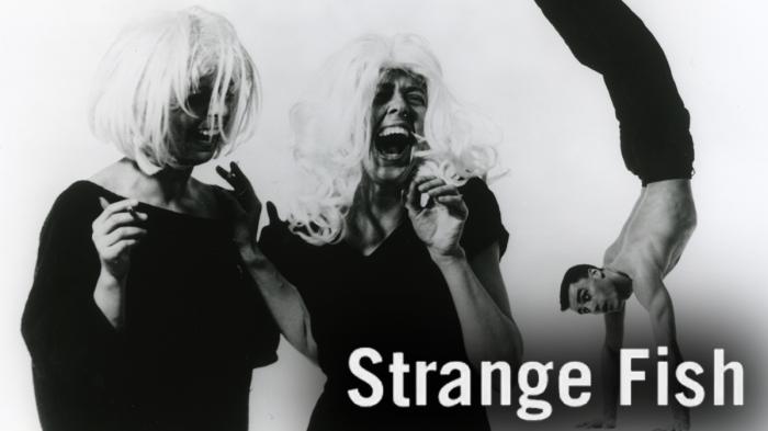 Digital Theatre :: DV8 - Strange Fish