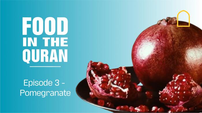 Episode 3 - Pomegranate | Islam Channel
