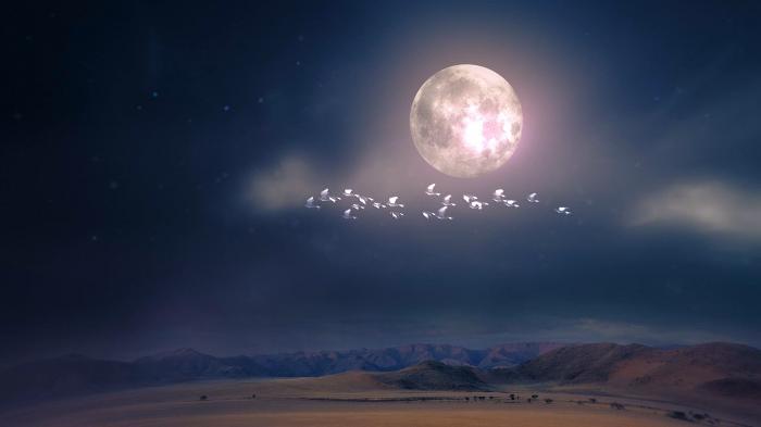 Prophet of Mercy - Episode 4 | Islam Channel