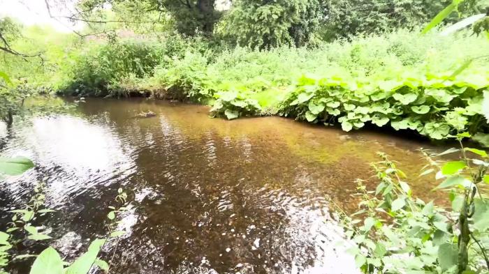 Shots! : Heartbroken family pays tribute to 'beautiful' son Joshua ...